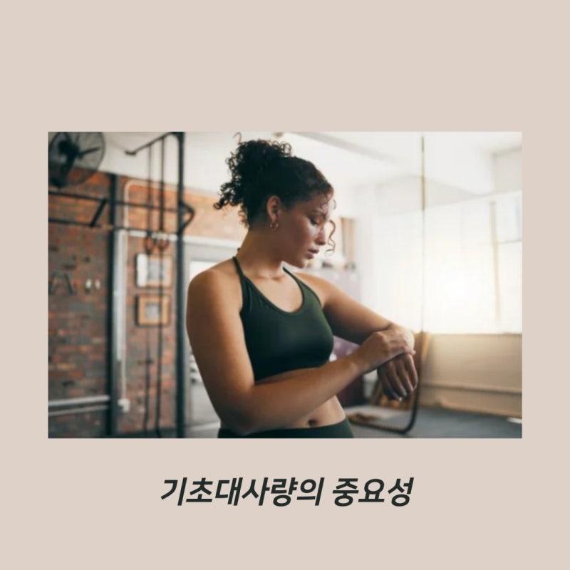 기초대사량 높이는 방법 성인 여자 남자 평균뜻계산 네이버 블로그